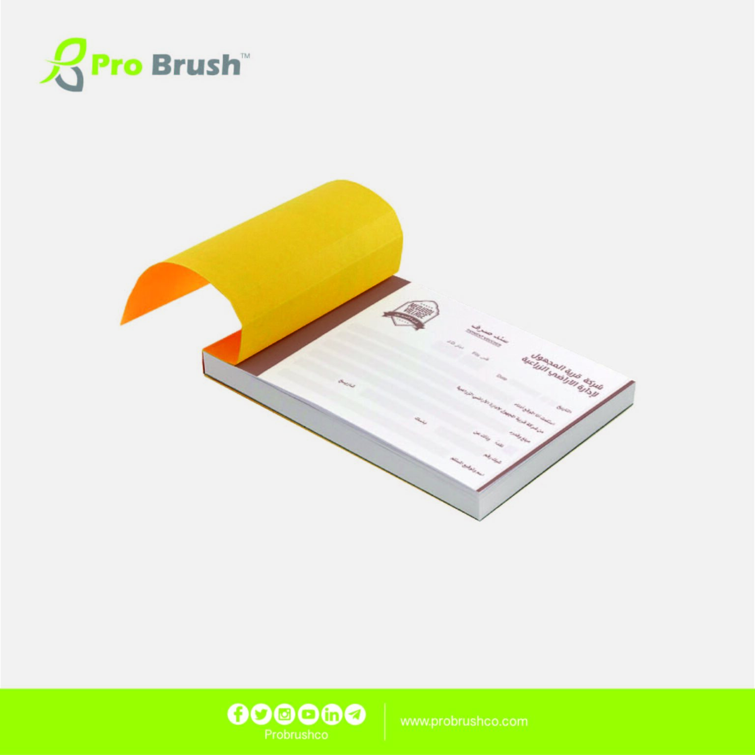 Invoices & Documents - Pro Brush